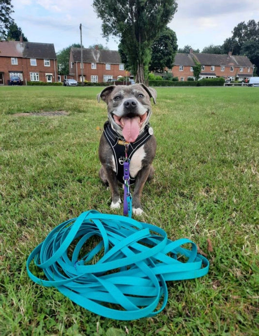 Waterproof BioThane® & Webbing Long Line Lead Collection – Trinkety Paws