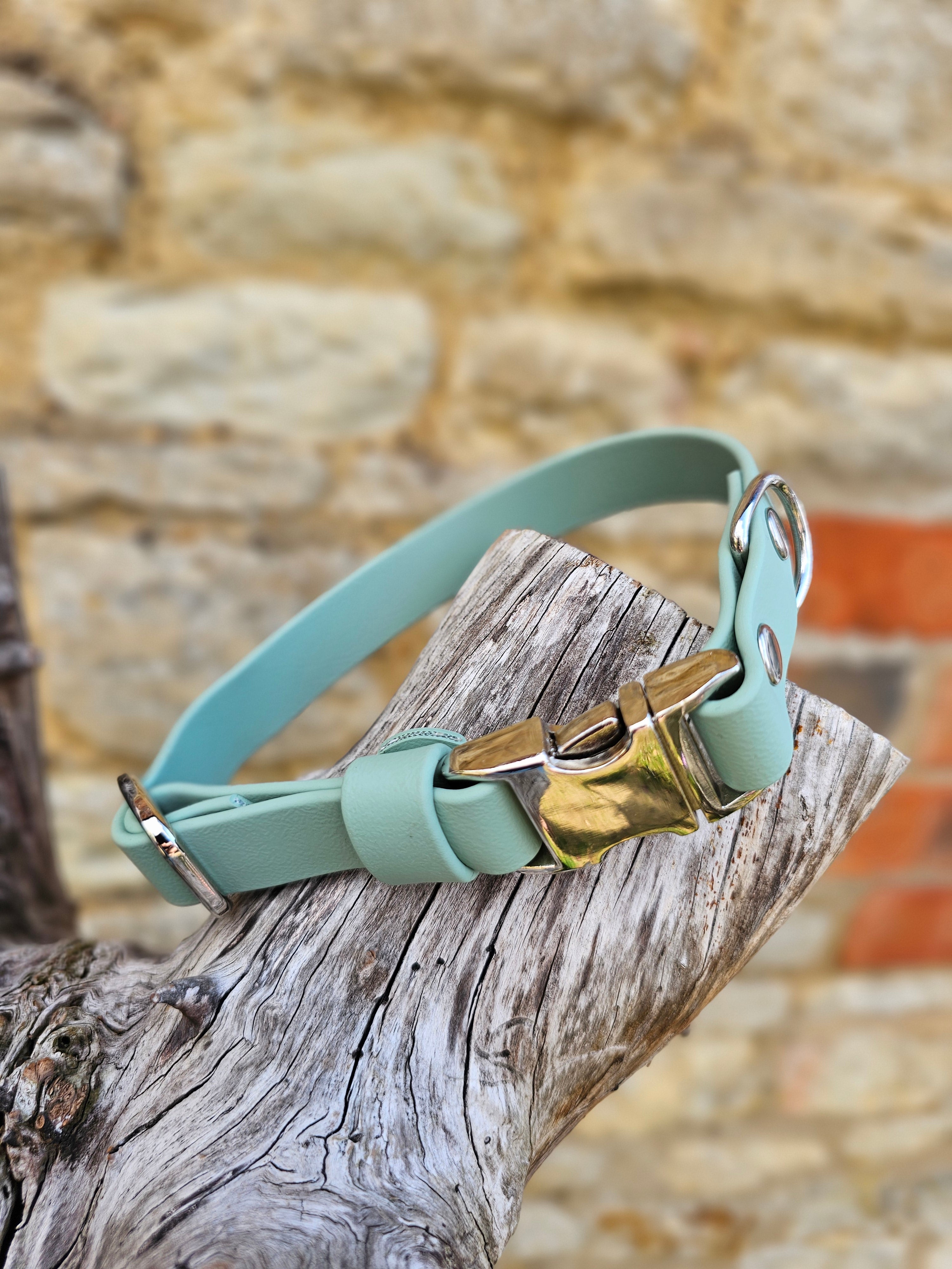 Sage - Everlast Waterproof BioThane© Quick-Release Buckle Dog Collar ...