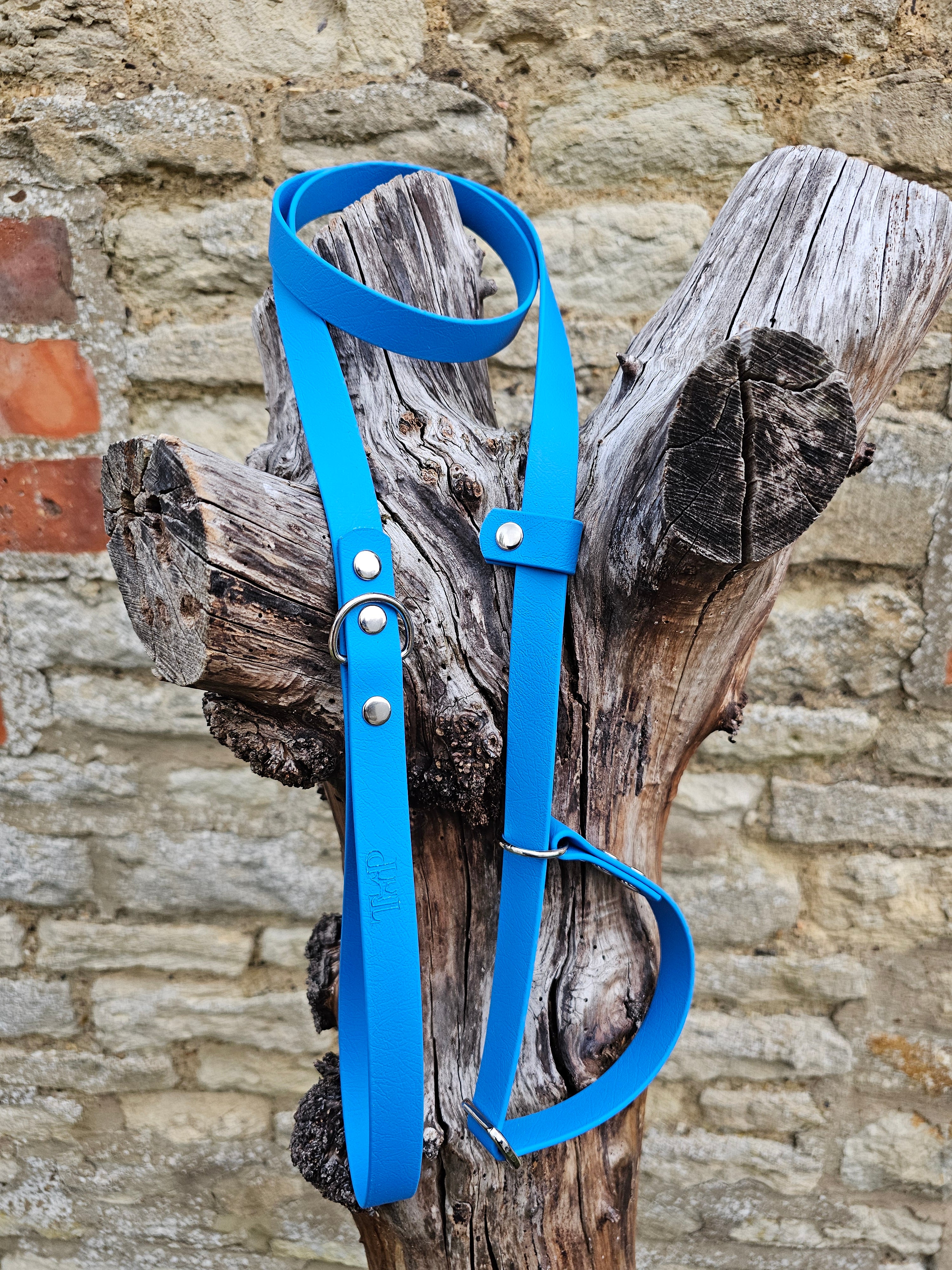 Blue - Waterproof BioThane® Dog Slip Lead – Trinkety Paws