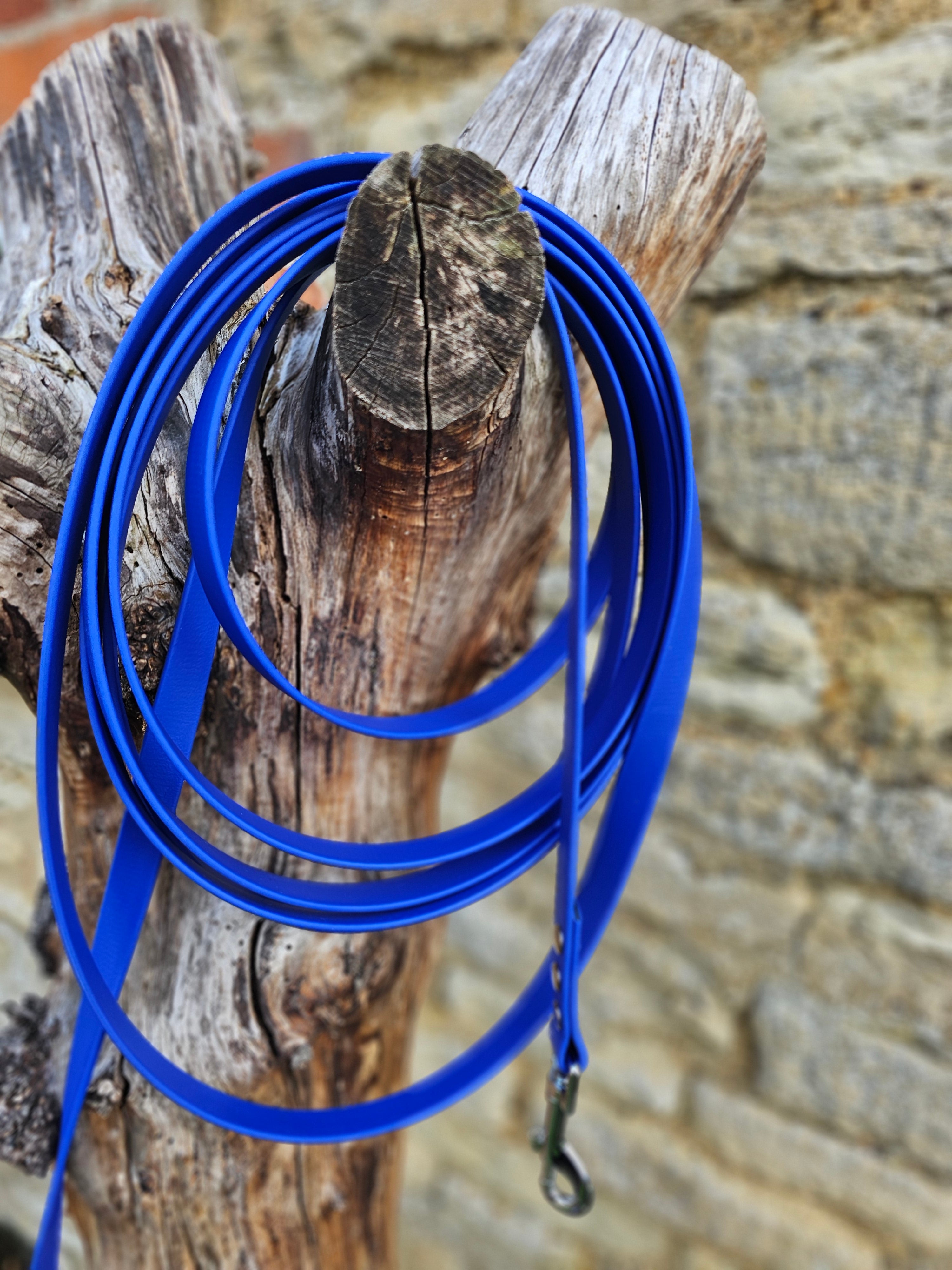 Royal Blue - Waterproof BioThane© Dog Long Line Lead – Trinkety Paws