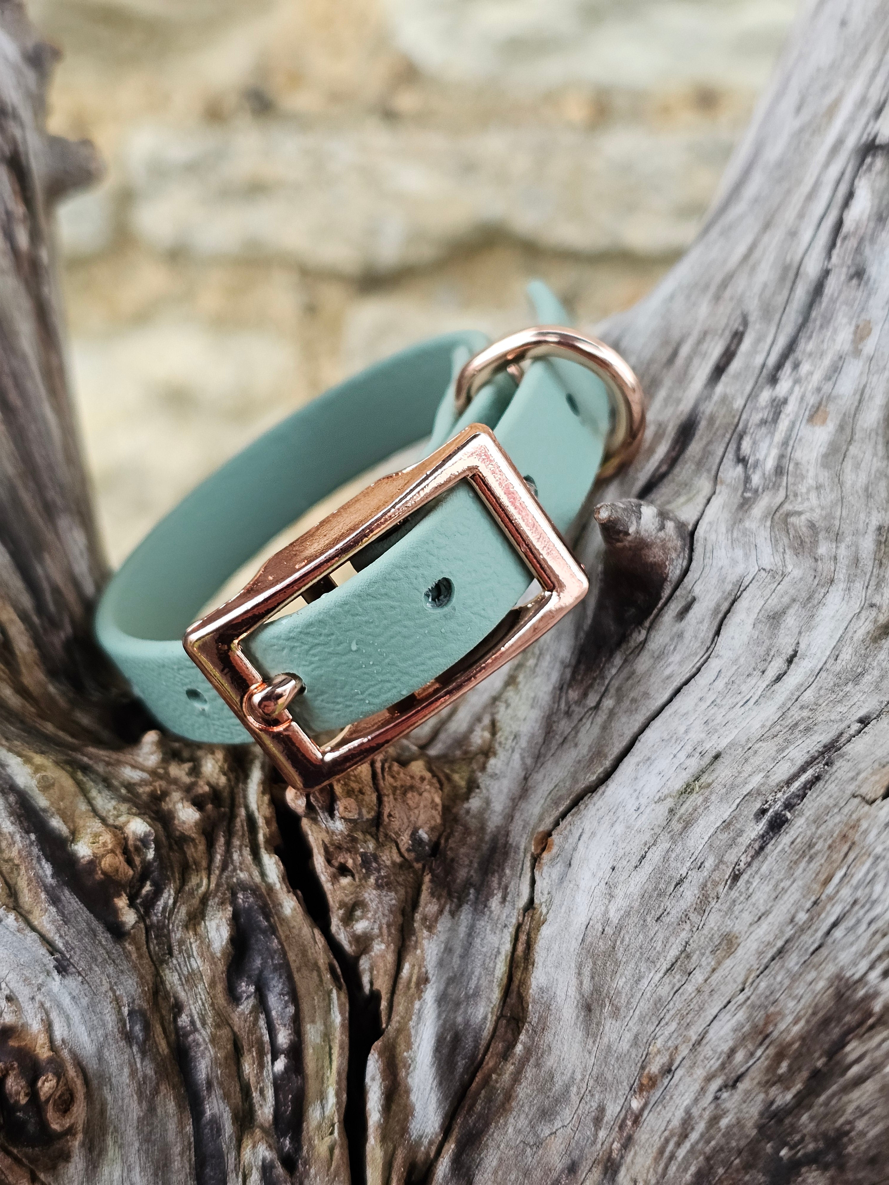 Sage - Waterproof BioThane© Dinky Dog Collar – Trinkety Paws