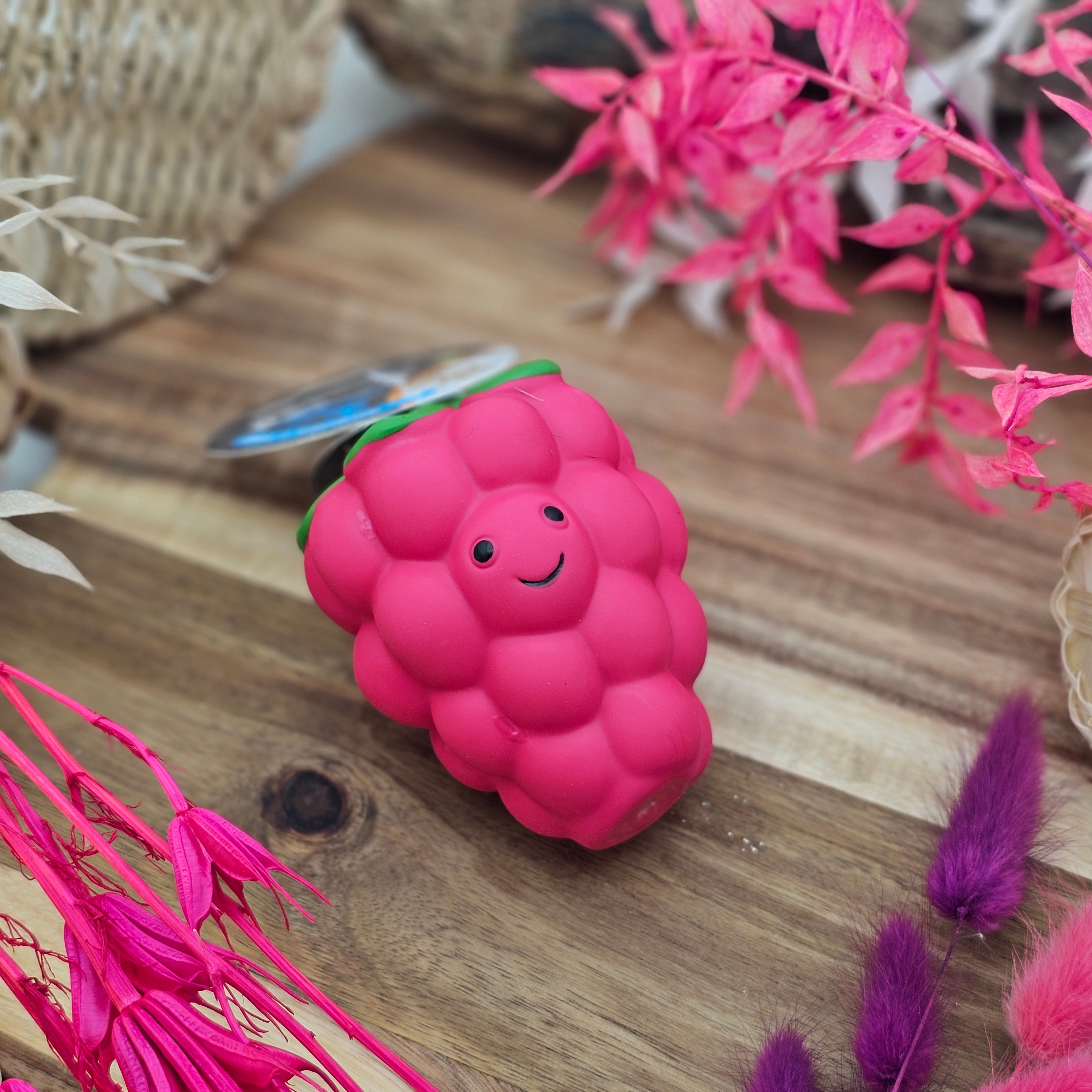 Raspberry Latex Dog Toy – Trinkety Paws